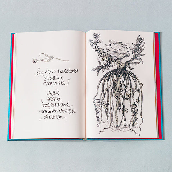 ヒグチユウコ画集 Fear edition5 – ボリス雑貨店